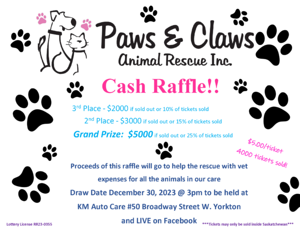 Paws & Claws Animal Rescue – Our mission is to rescue. Our dream is ...